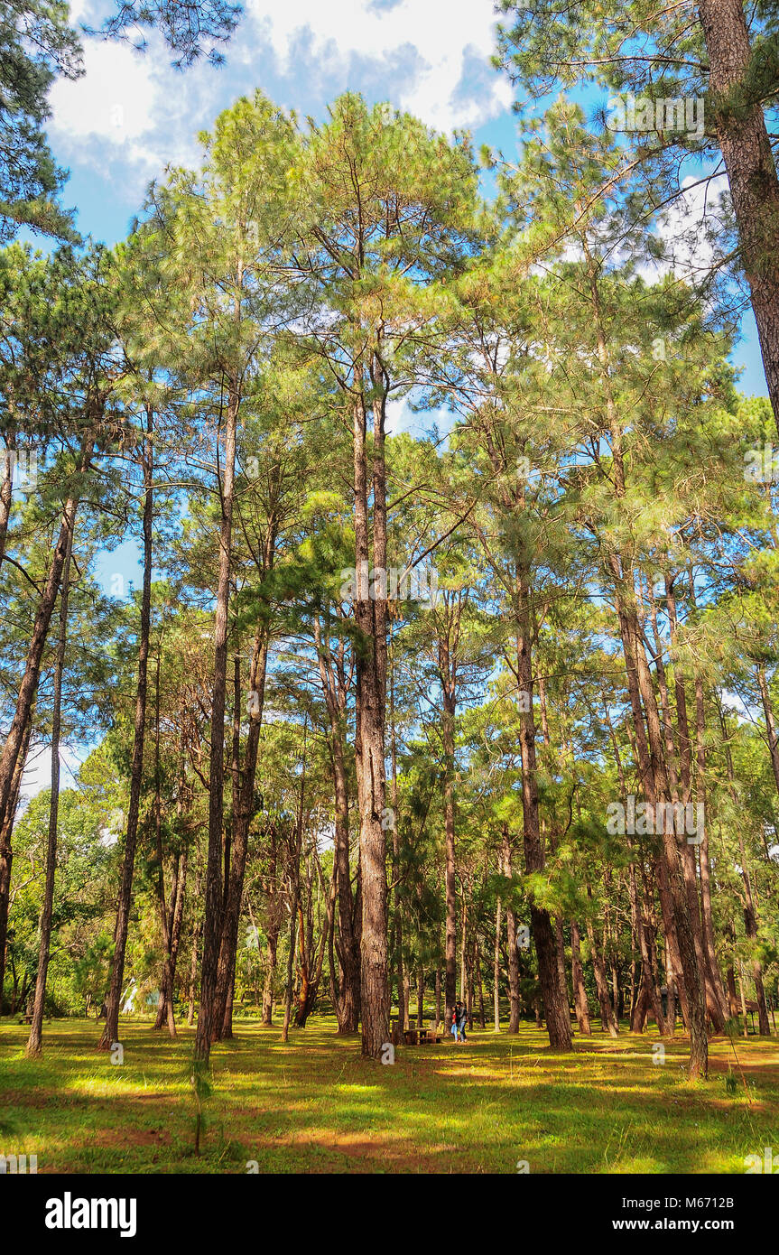 Pyin Oo Lwin, Shan State, Myanmar - November 18 2014. Visitors to the ...