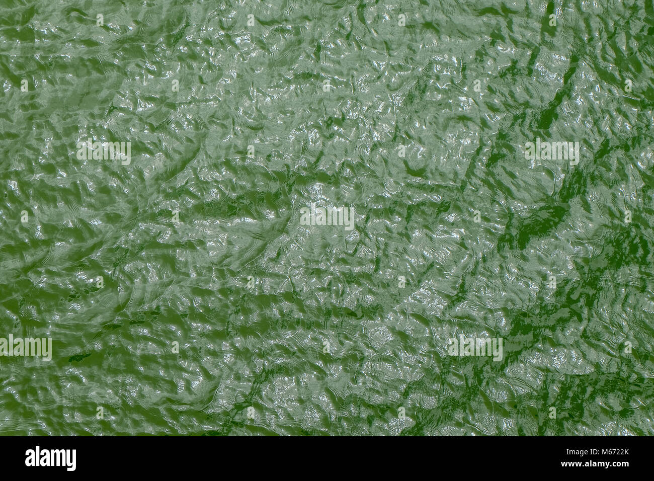 Close-up of water in reservoir near Pyin Oo Lwin, Myanmar Stock Photo ...