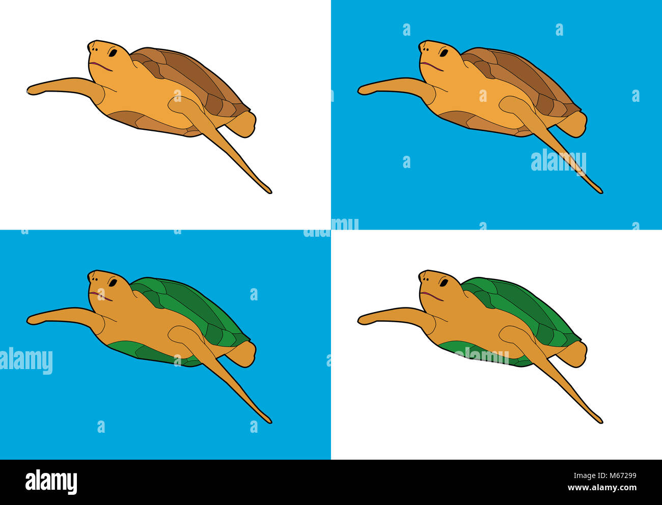 Design of four turtles, colorful combination Stock Photo - Alamy