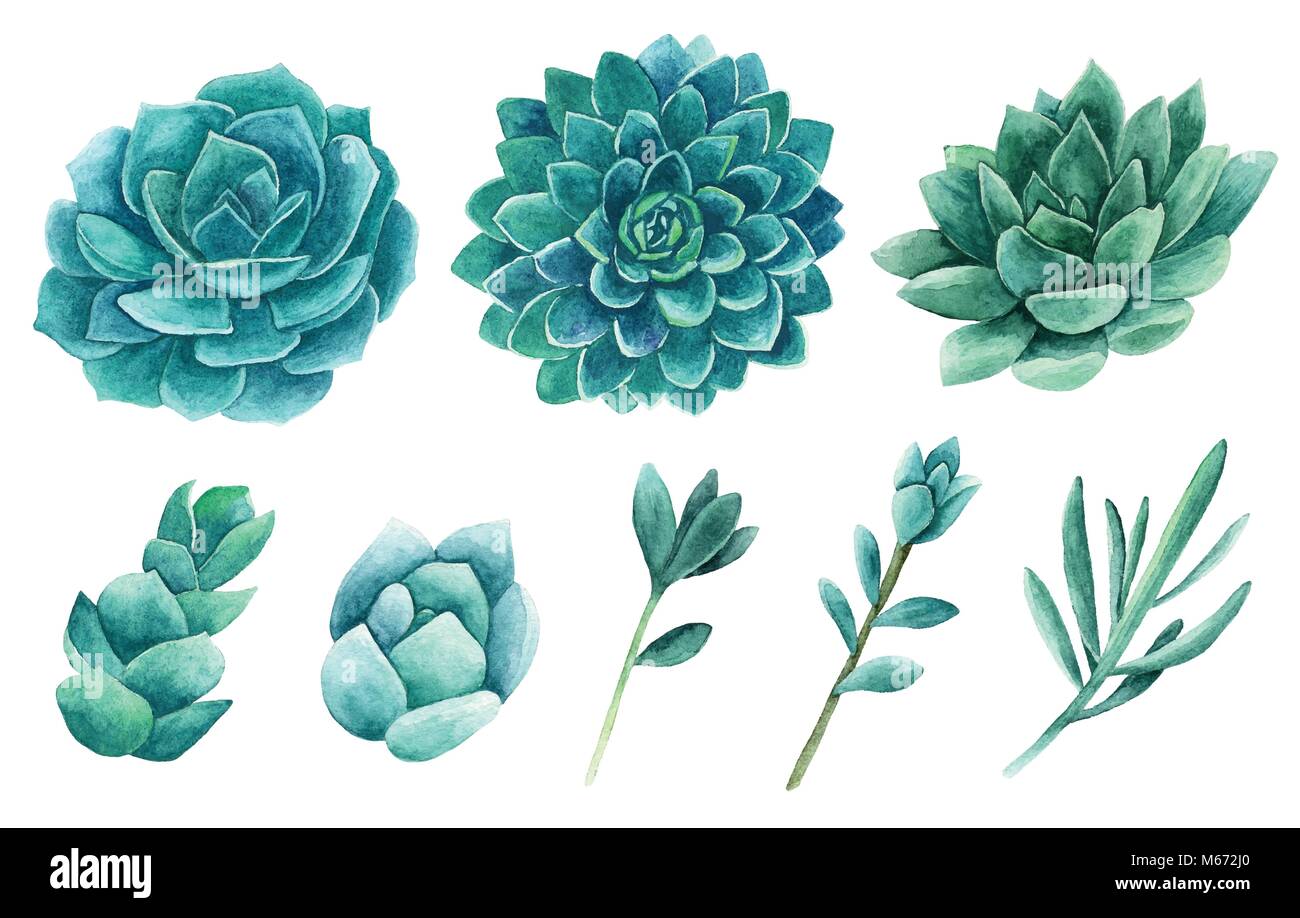 Botanical clipart vector vectors hi-res stock photography and images ...