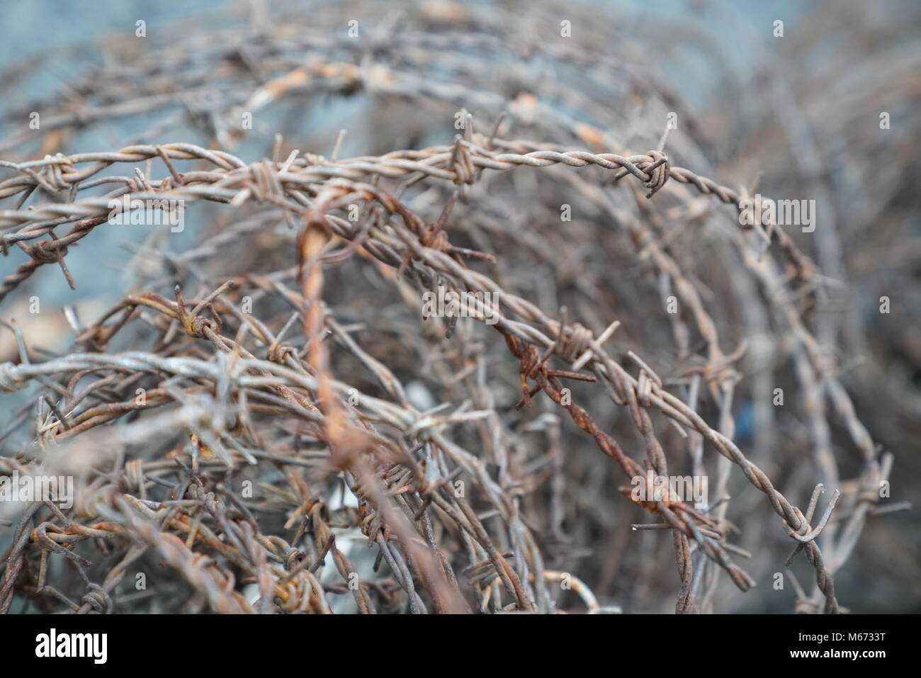 Close up of a roll of rusty barb wire Stock Photo - Alamy