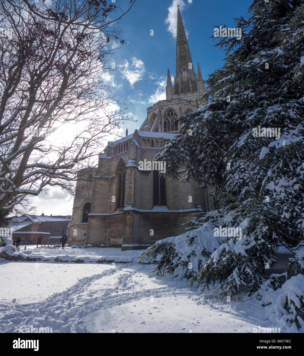 Norwich cathedral winter hi-res stock photography and images - Alamy