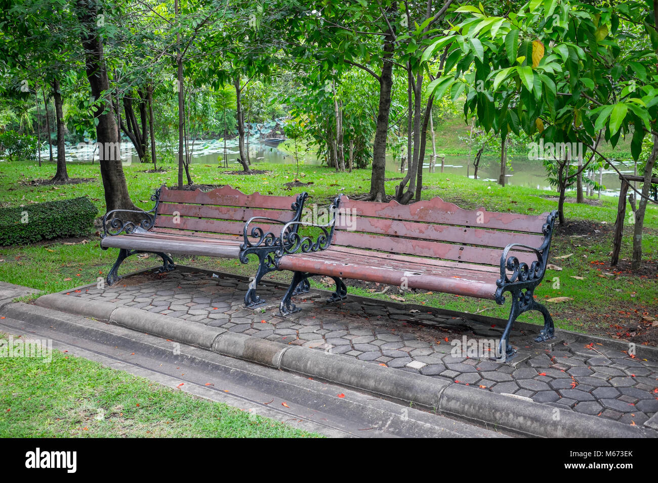 Two benches in the park and trees in background Stock Photo - Alamy