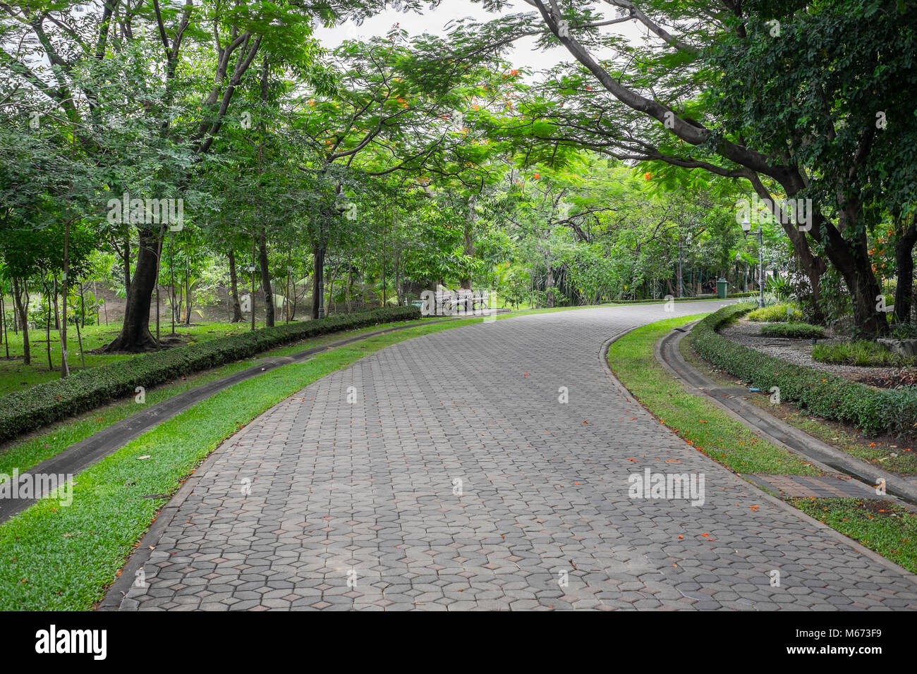 Pathway along side trees hi-res stock photography and images - Alamy