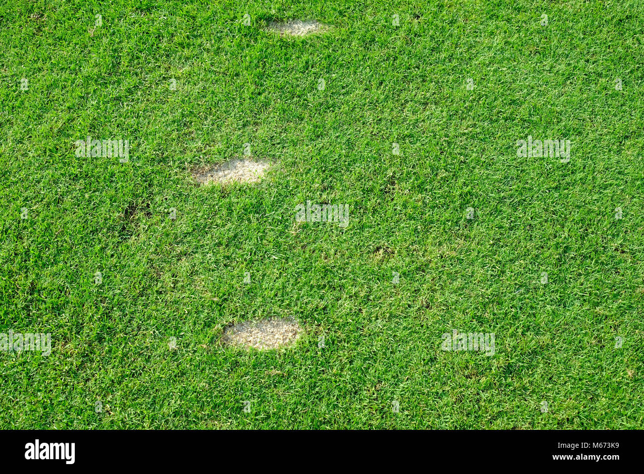 three divot on teeing ground Stock Photo - Alamy