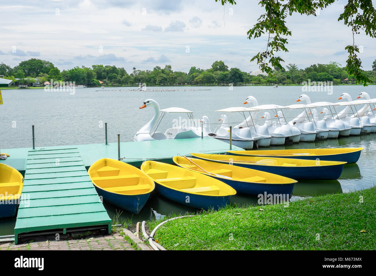 Row boat and swan boat at the dock in the lake Stock Photo - Alamy