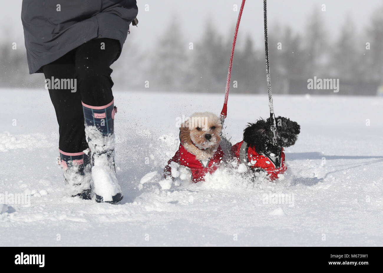 Snowy conditions in larbert hi-res stock photography and images - Alamy