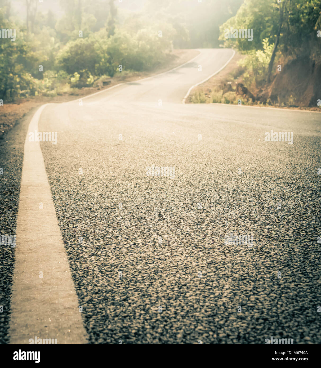 Country highway through the forest Stock Photo - Alamy
