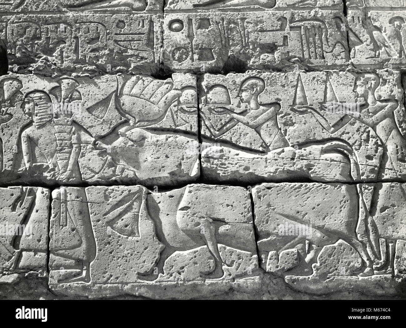 Religious procession with Bull deity, Egyptian bas-relief Stock Photo ...