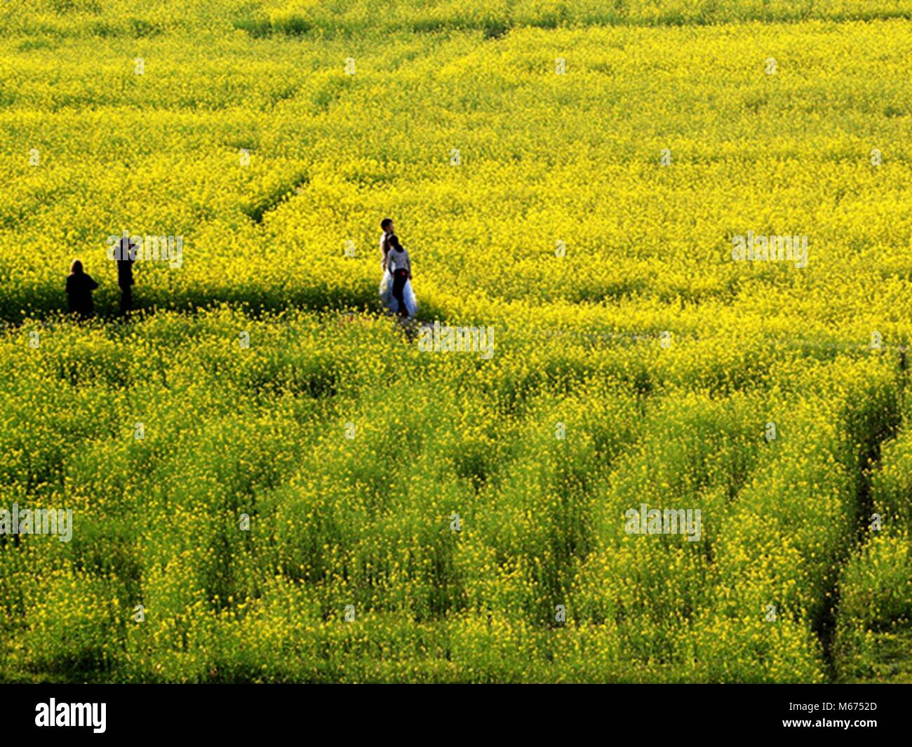 February 28, 2018 - Ji'An, Ji'an, China - Ji'an, CHINA-28th February ...