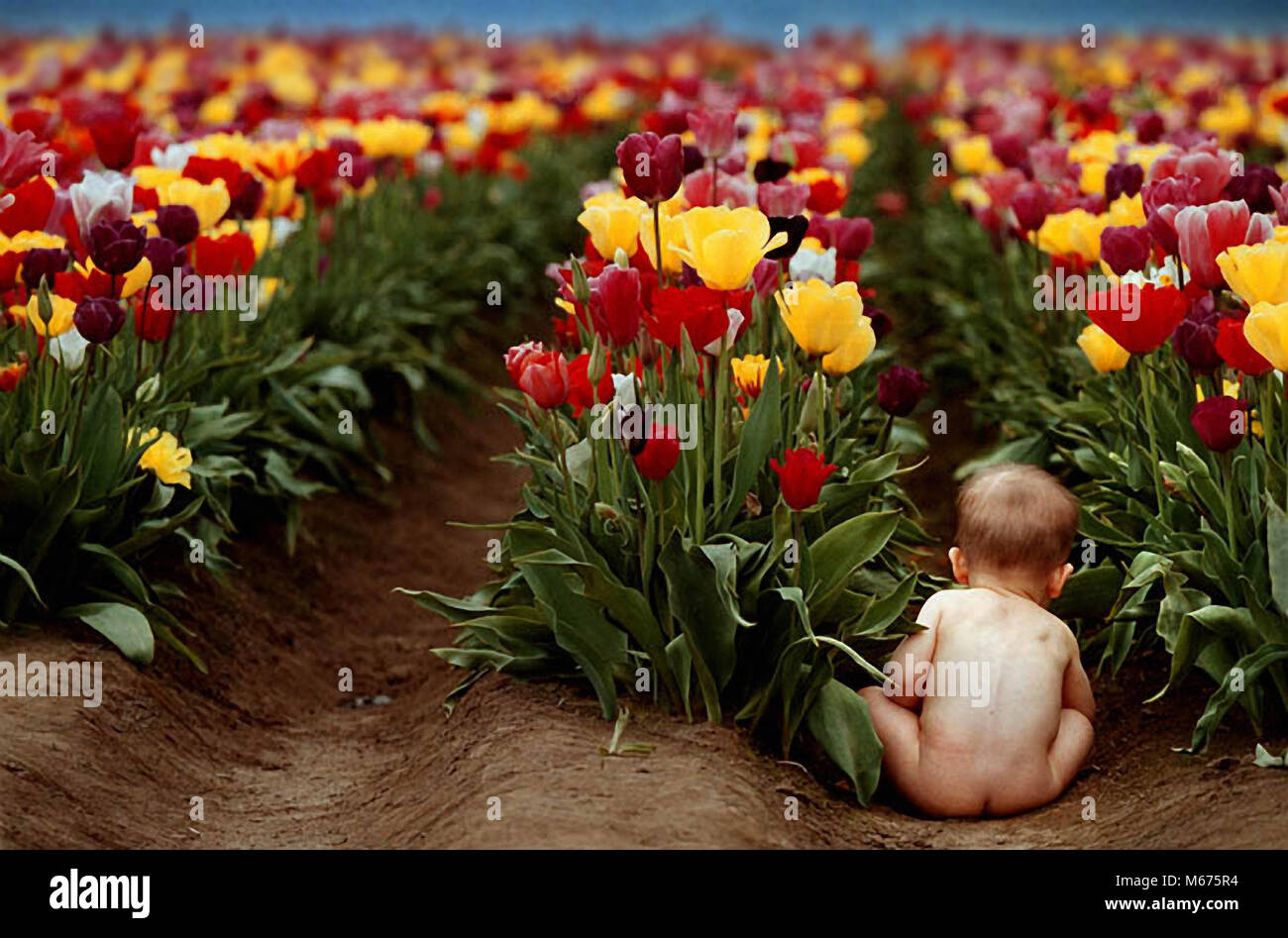 Woodburn, Oregon, USA. 18th Feb, 2004. Jacob Smythe discovers life ...