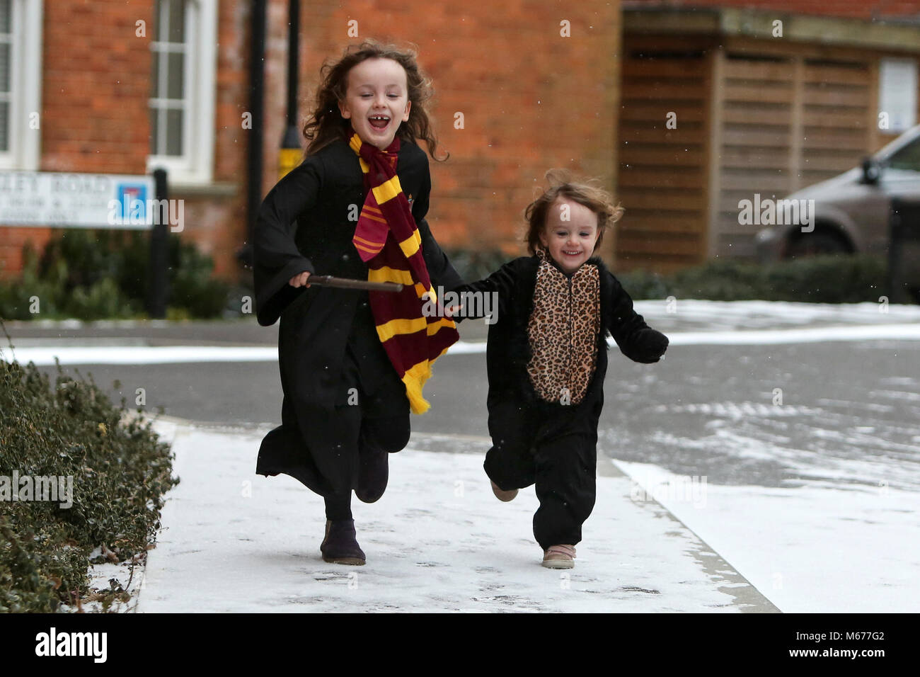 Hermione granger hi-res stock photography and images - Alamy
