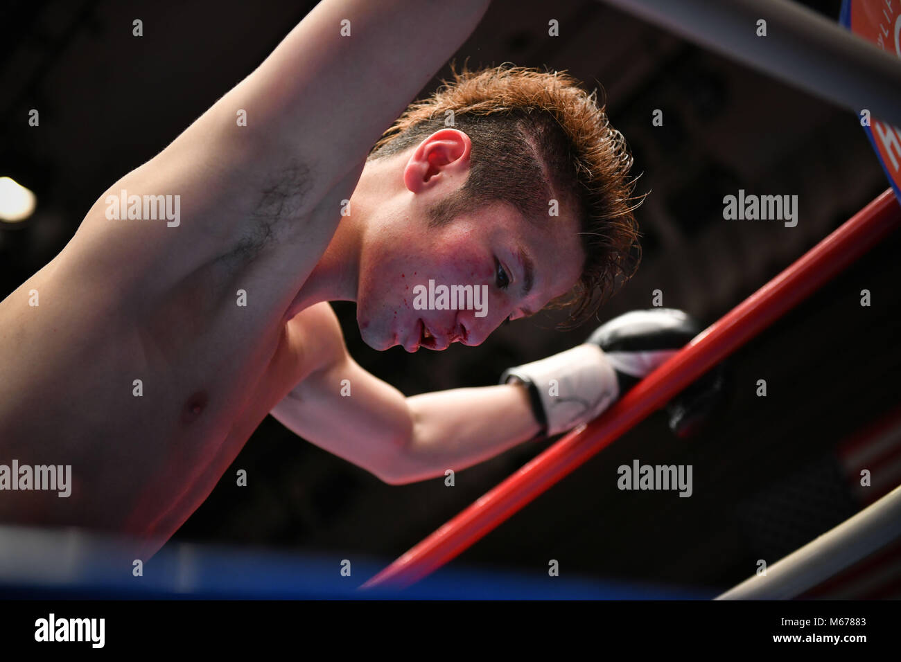 Ryo Matsumoto (JPN), FEBRUARY 28, 2018 - Boxing : Ryo Matsumoto of ...