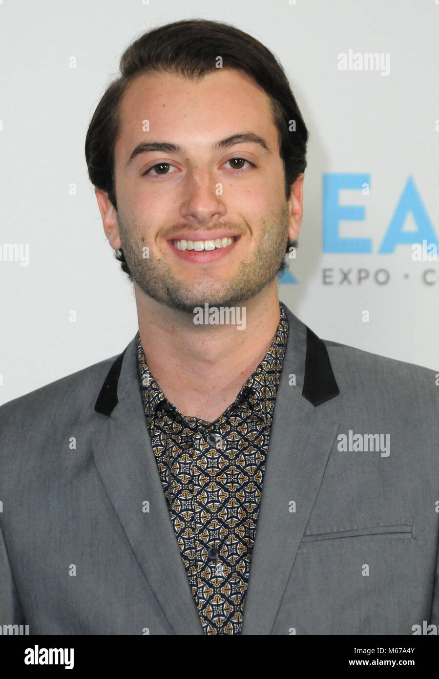 Los Angeles, USA. 28th Feb, 2018. Actor Ryan McCabe attends the 15th ...