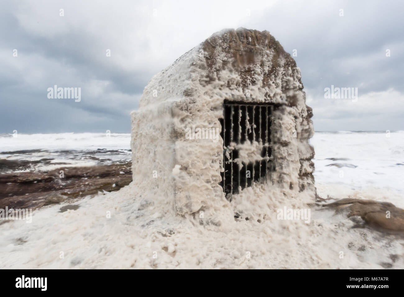 Sea foam on the coast of Northumberland, caused by sea water agitation ...