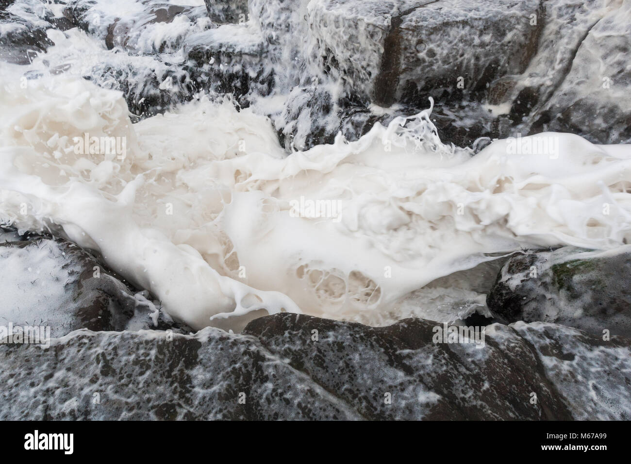 Sea foam on the coast of Northumberland, caused by sea water agitation ...