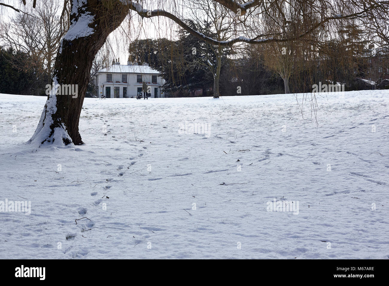 Springfield park, london hi-res stock photography and images - Alamy