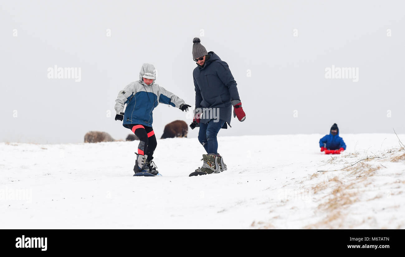 Just snowboarding hi-res stock photography and images - Alamy