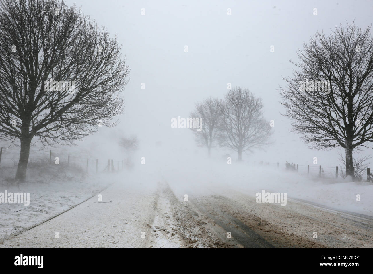 Zero visibility hi-res stock photography and images - Alamy