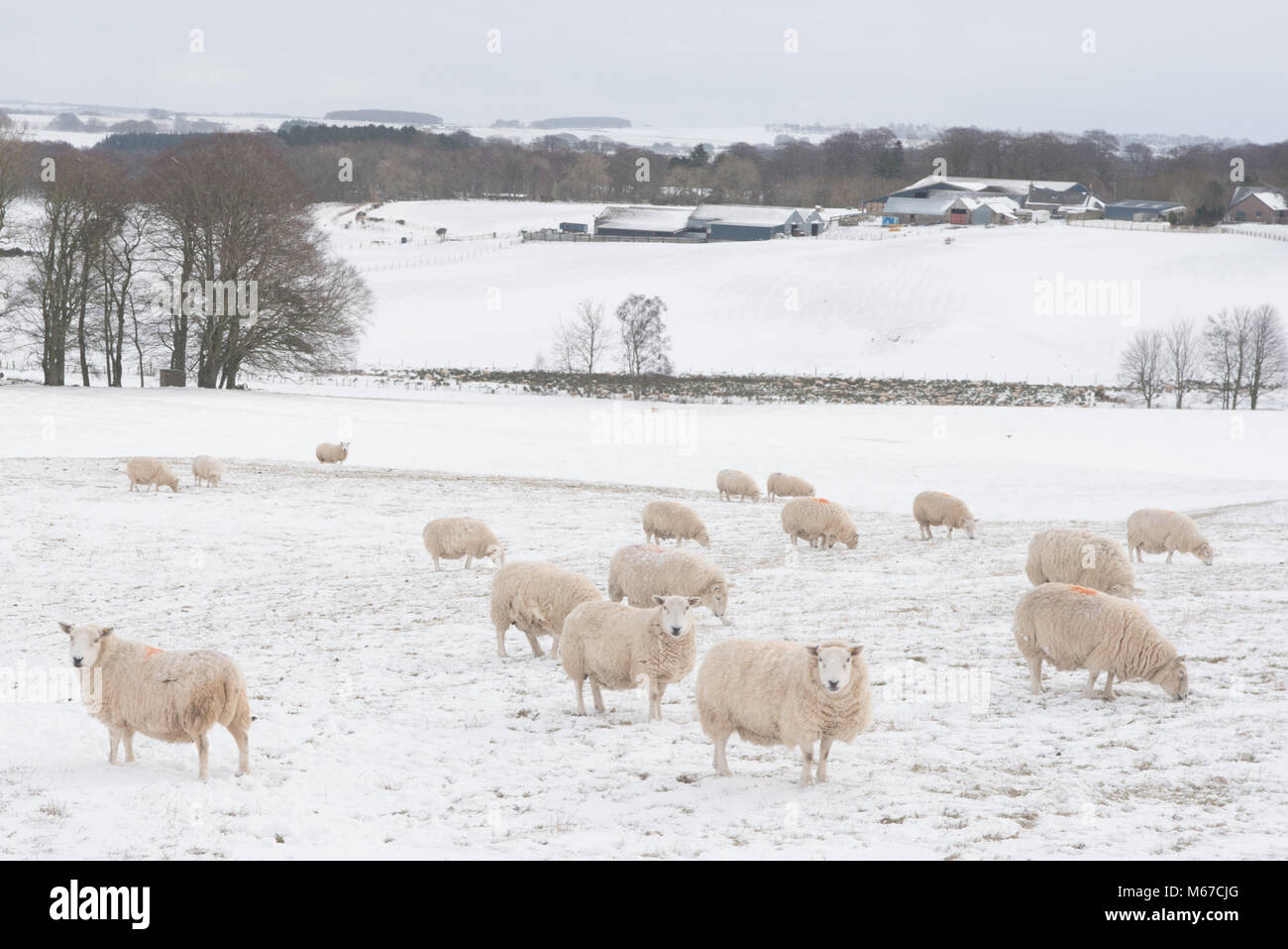 Oldmeldrum hi-res stock photography and images - Alamy