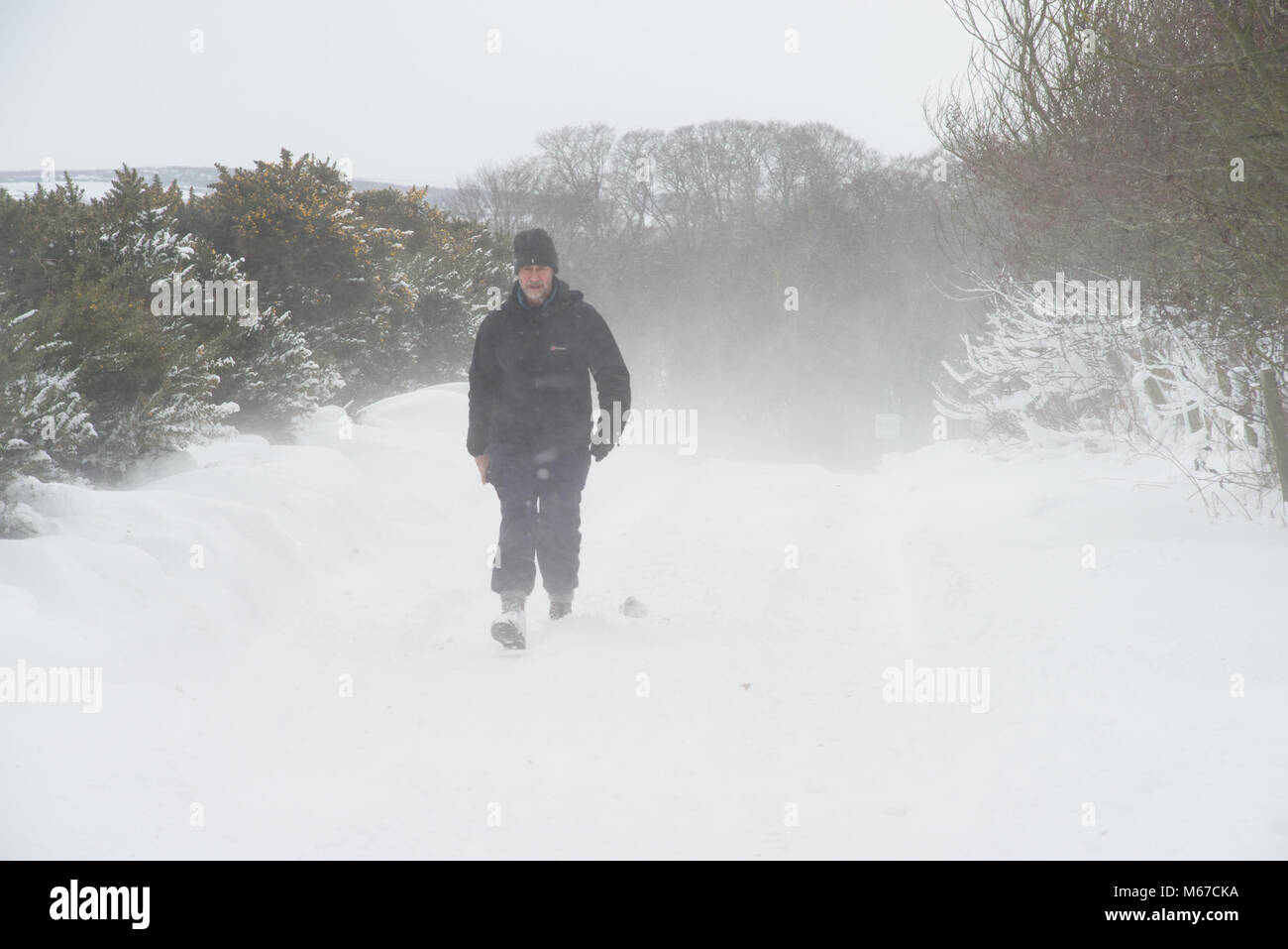 Aberdeenshire. 1st Mar, 2018. UK Weather: A man walking on a snow ...