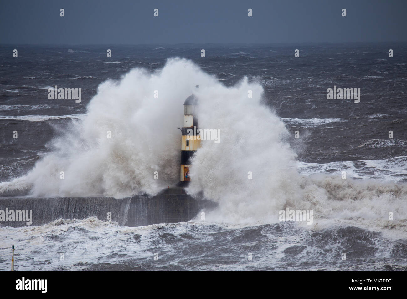 The beast from the east Stock Photo - Alamy