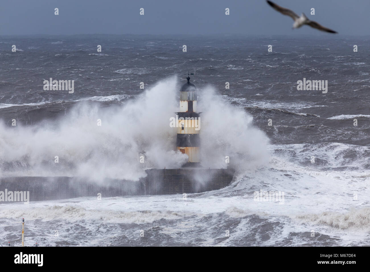The beast from the east Stock Photo - Alamy