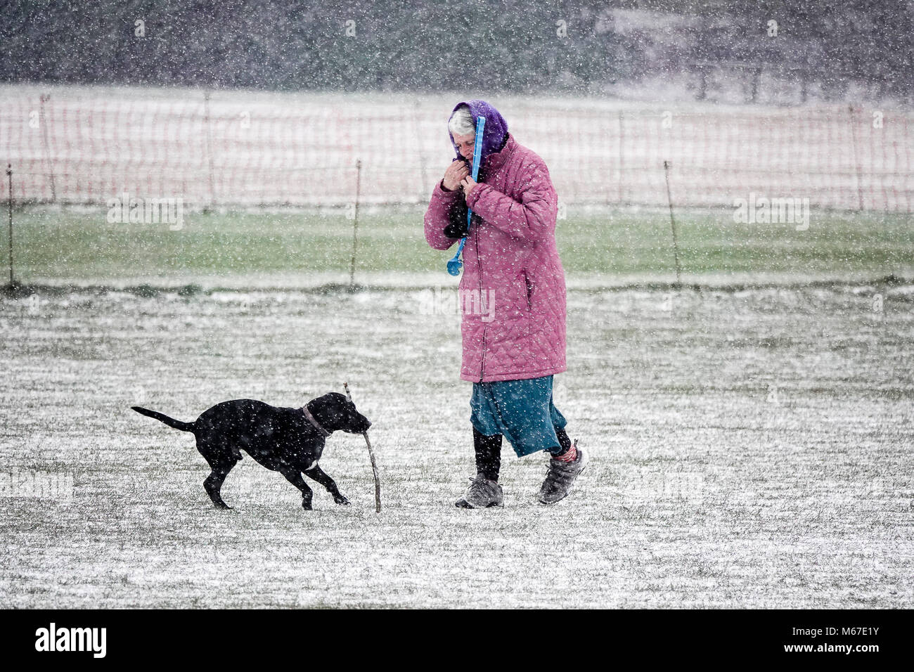 James blizzard hi-res stock photography and images - Alamy