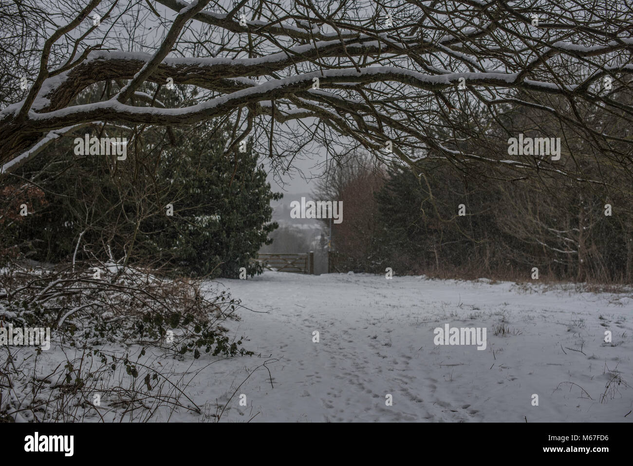 Blanket of snow over Telford in Shropshire, as freezing conditions ...