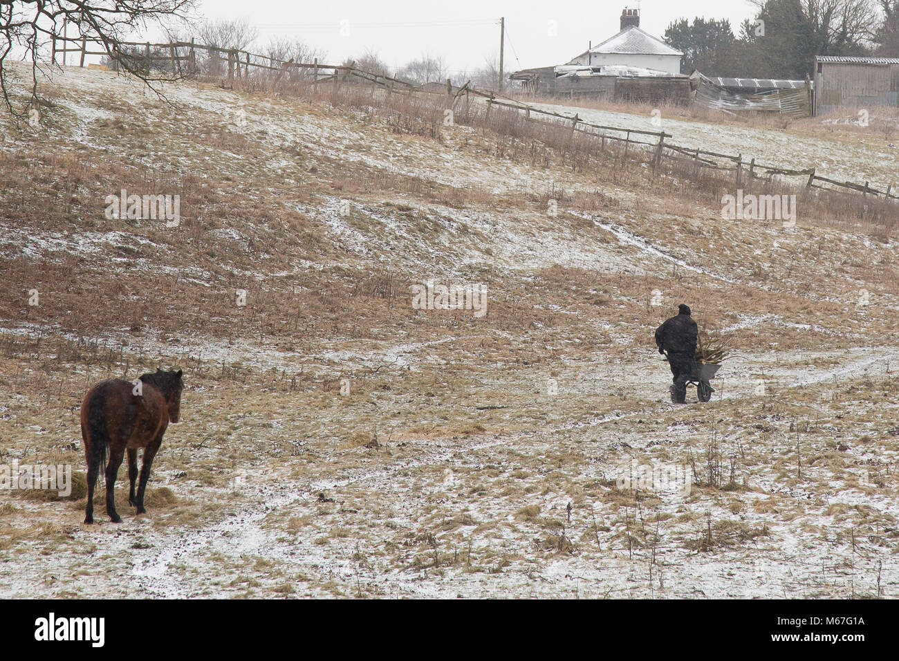 Kidderminster, UK. 1st March, 2018. UK weather: extreme temperatures ...
