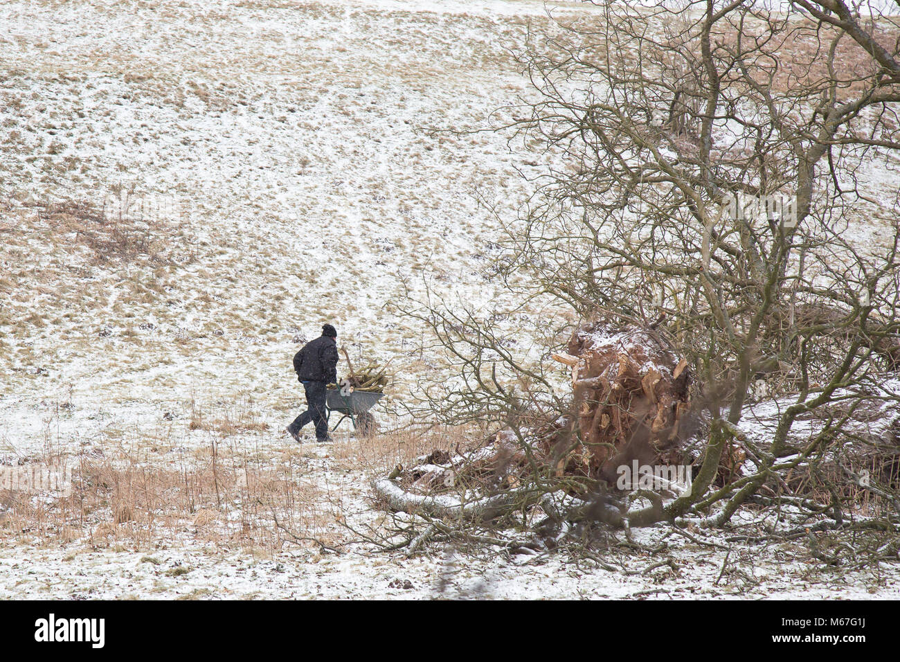 Kidderminster, UK. 1st March, 2018. UK weather: extreme temperatures ...