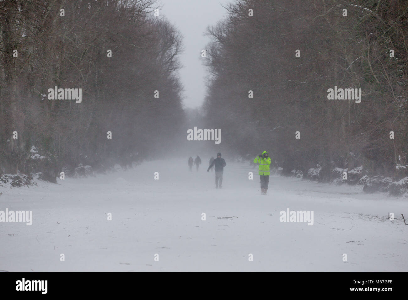 Celbridge, Kildare, Ireland. 1 Mar 2018: Ireland weather. Weather ...