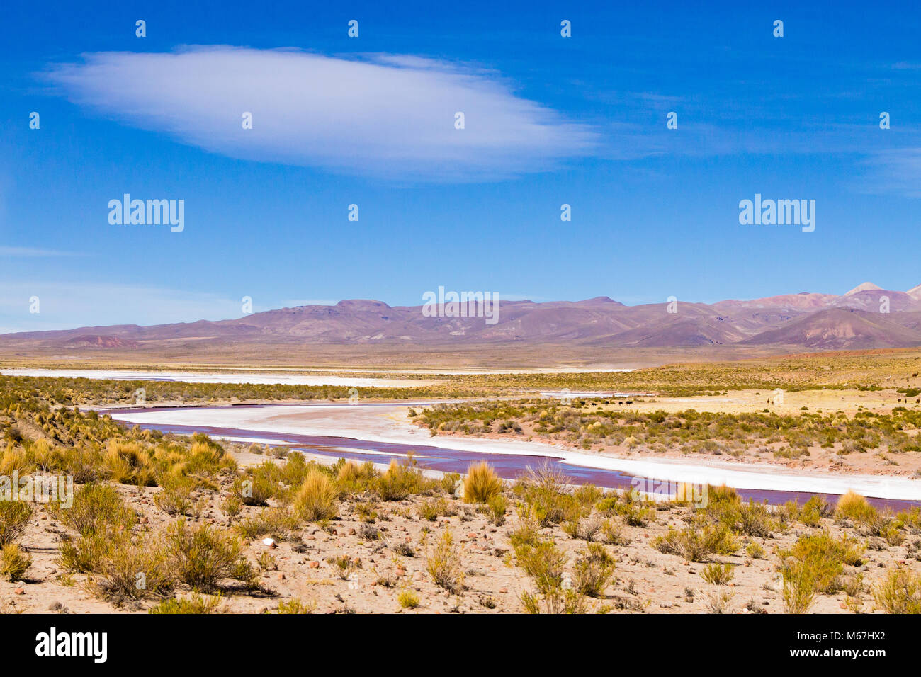 Bolivian mountains landscape,Bolivia.Andean plateau view Stock Photo ...