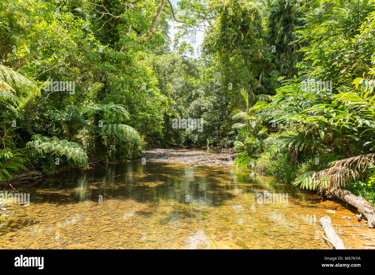 Creeks and streams hi-res stock photography and images - Alamy