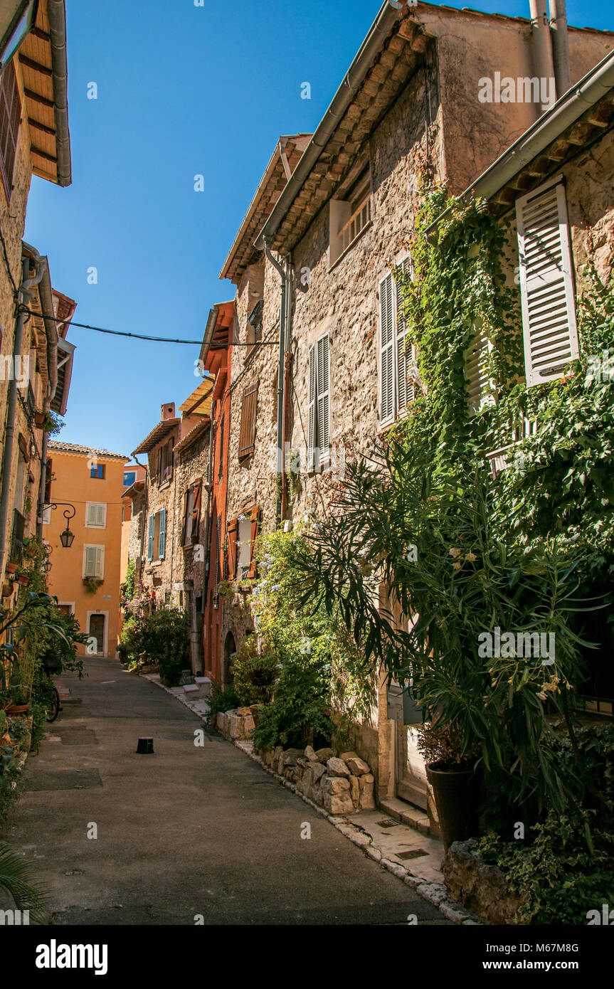 Alley view with stone houses and plants under sunny blue sky in Vence ...
