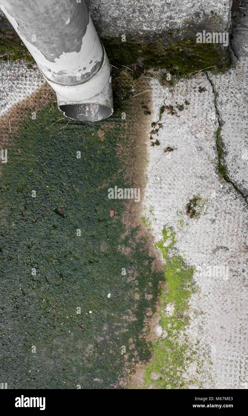 View from above of a gutter with green mossy drainage, on a old wall ...