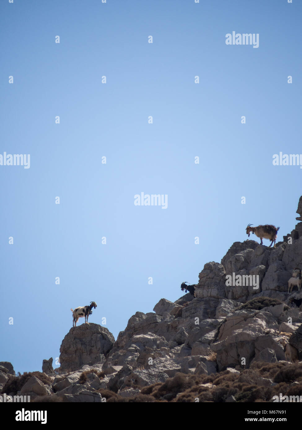 Three hips hi-res stock photography and images - Alamy