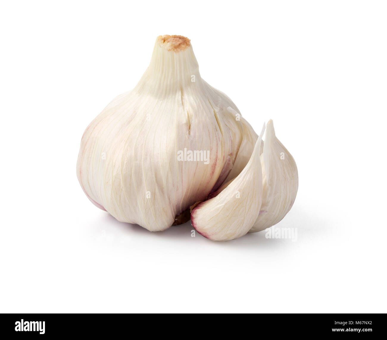 uncooked whole garlic with shell on white background with clipping path ...