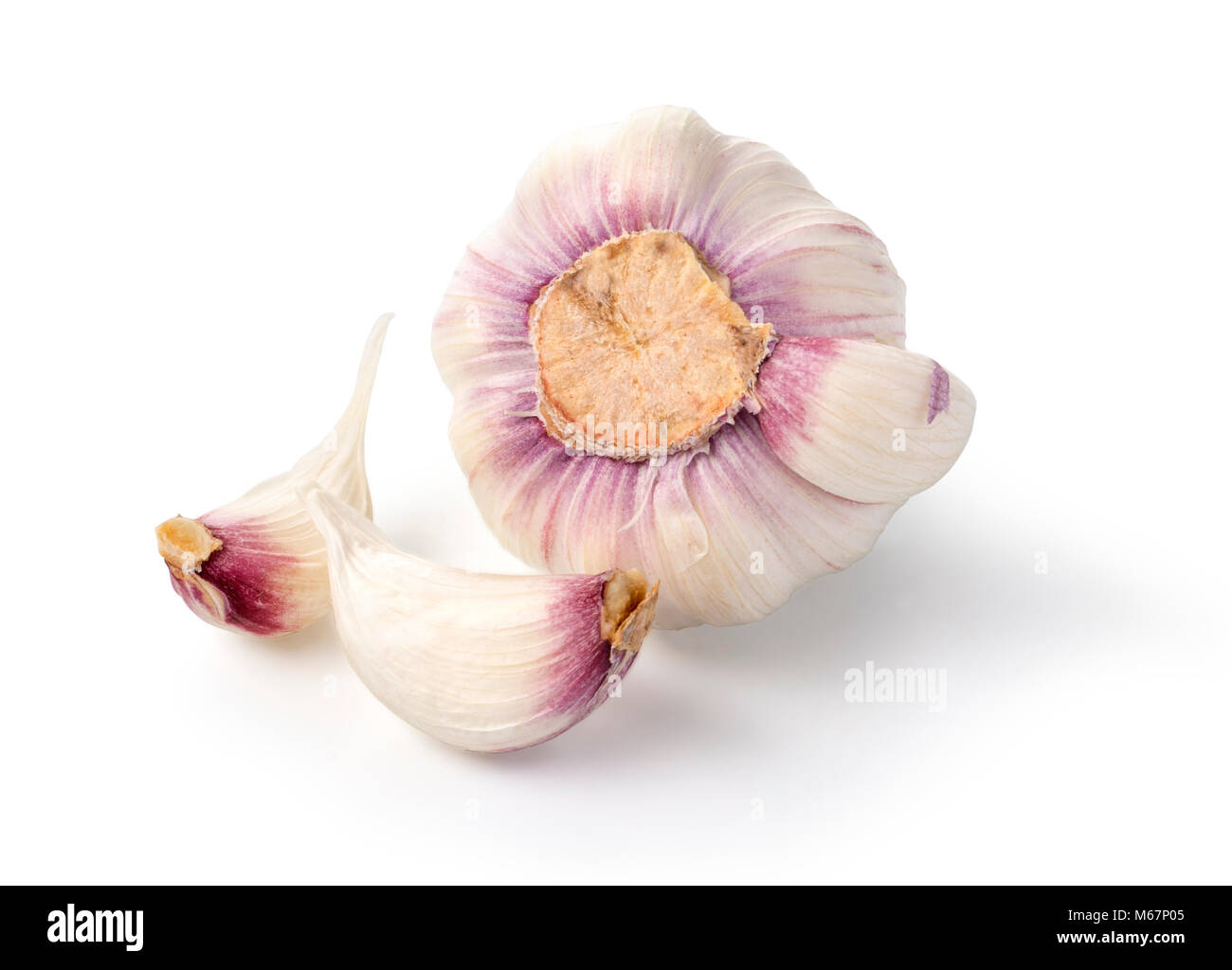 uncooked whole garlic with shell on white background with clipping path ...