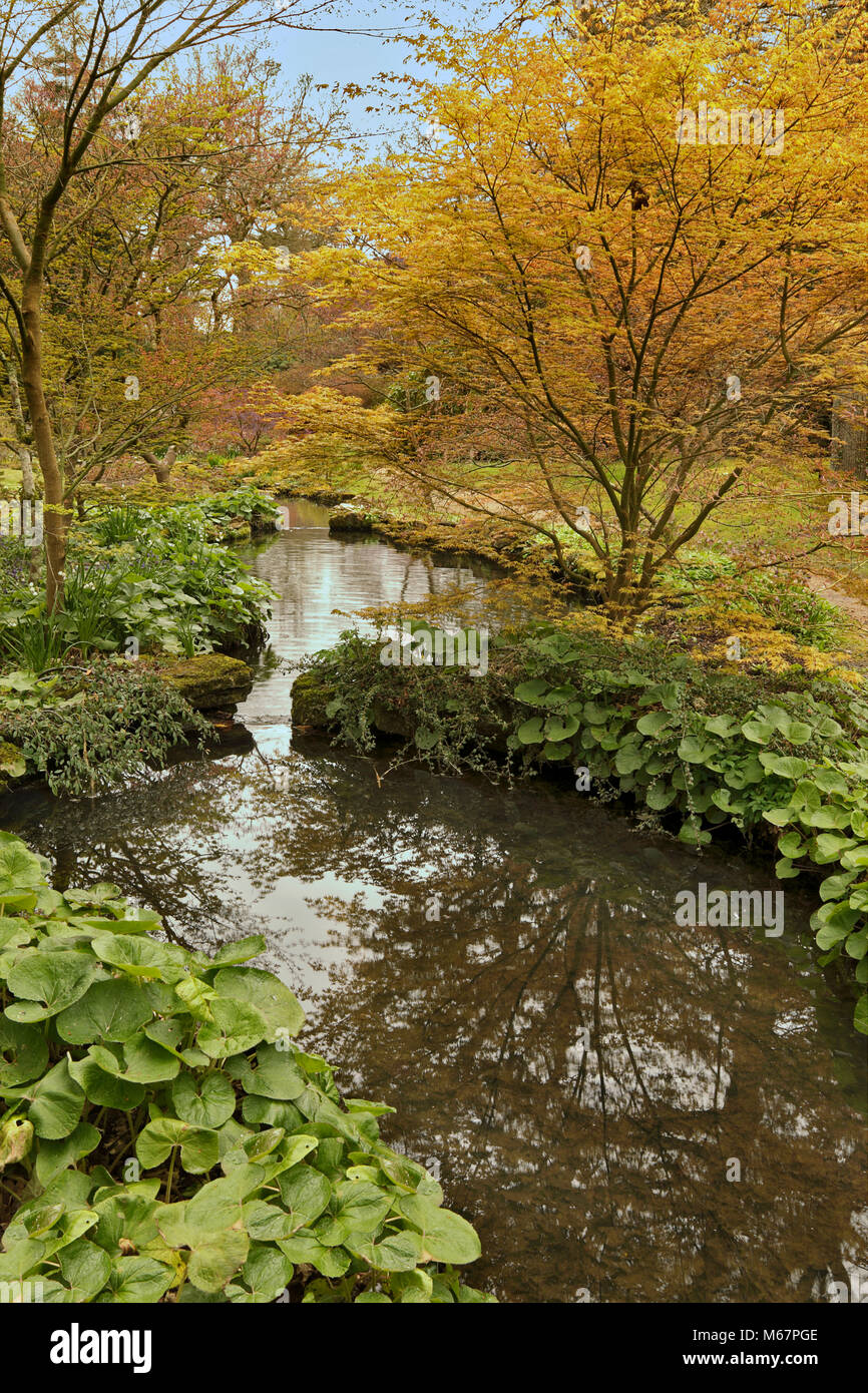 Exbury High Resolution Stock Photography and Images - Alamy