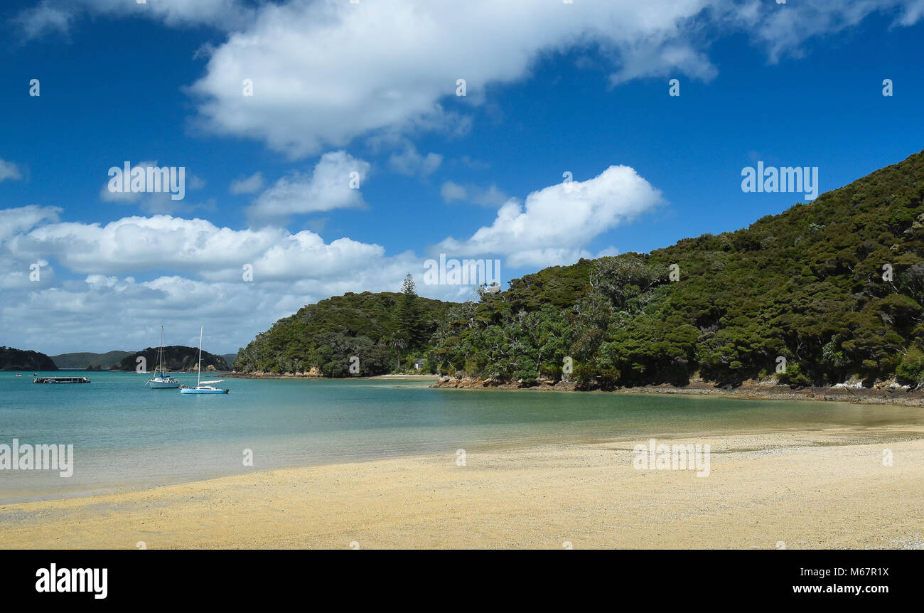 sandy beaches of new zealand Stock Photo - Alamy