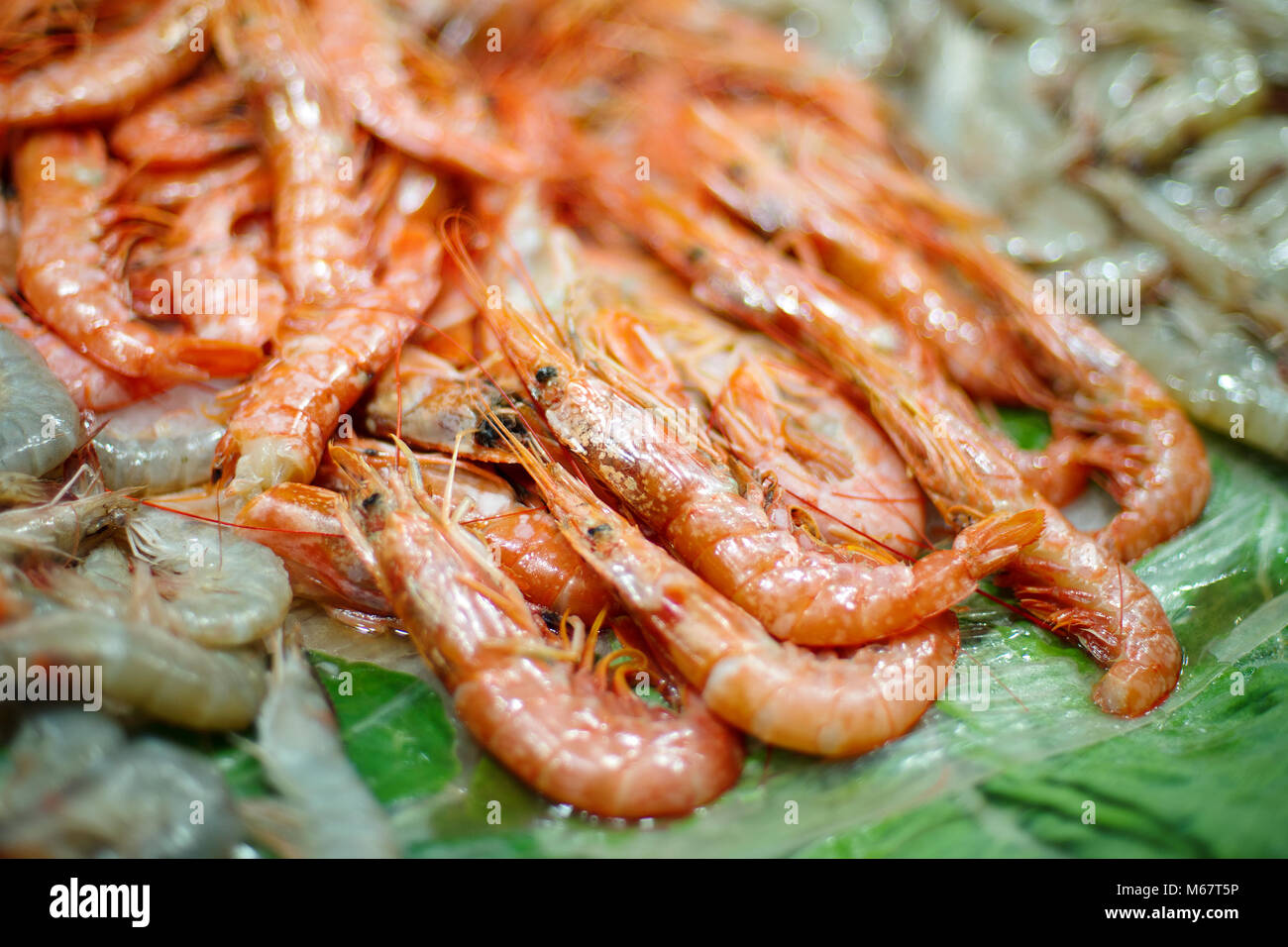 Fresh seafood raw crustacean prawn - healthy food Stock Photo - Alamy