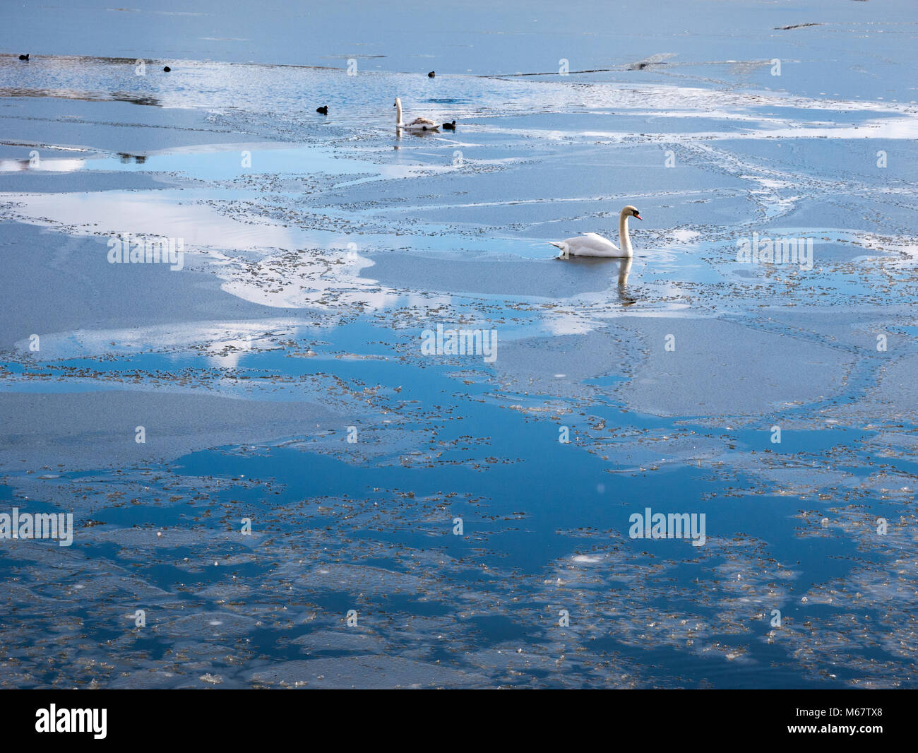 Snow scene at leeds castle hi-res stock photography and images - Alamy