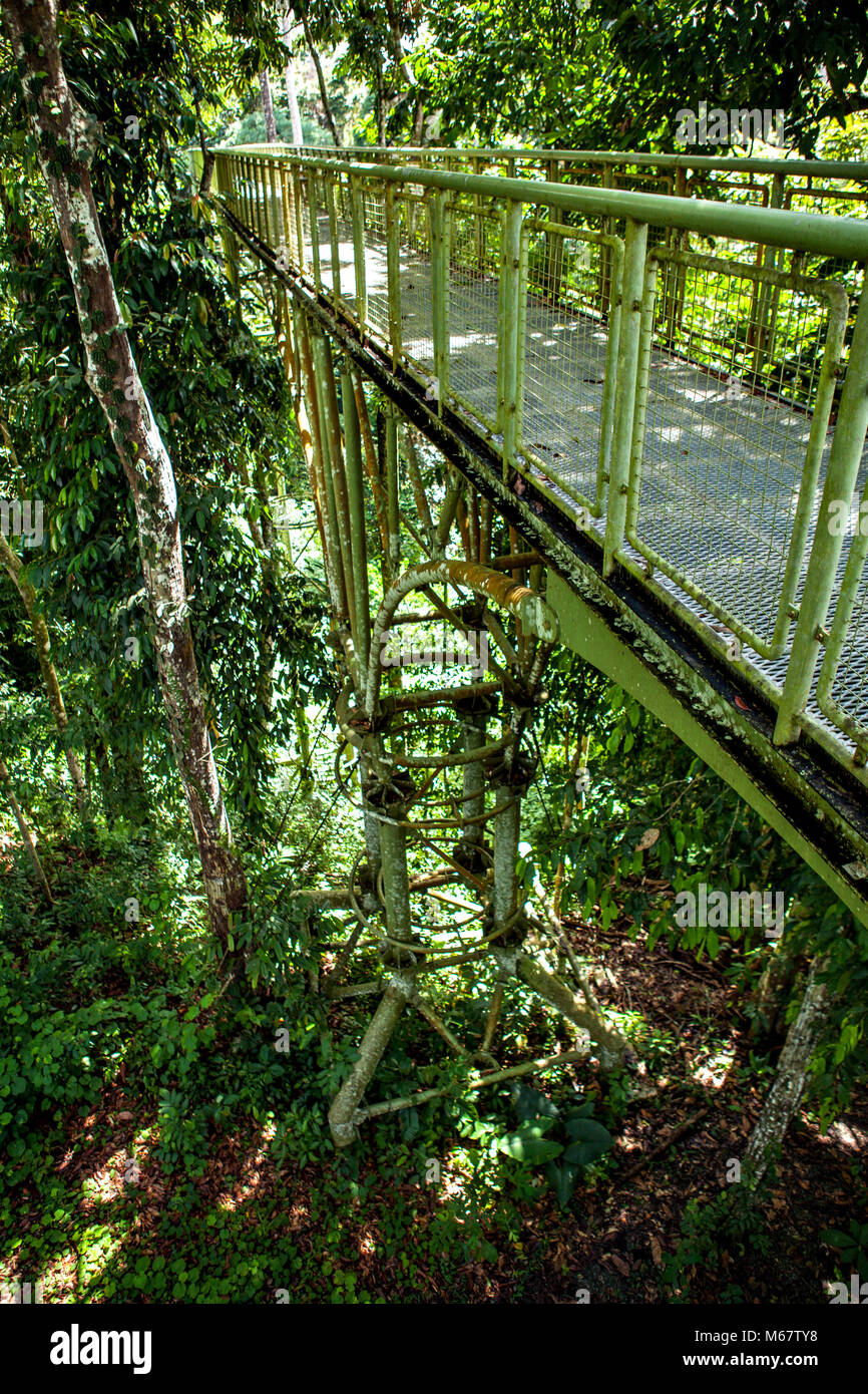 Canopy walk borneo hi-res stock photography and images - Alamy