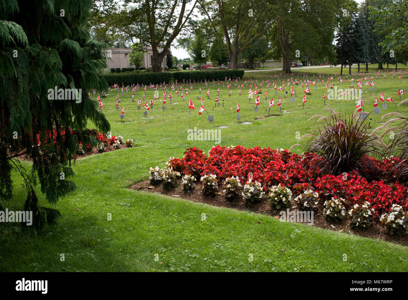 Flags honouring members of the Canadian forces who were lost in action ...