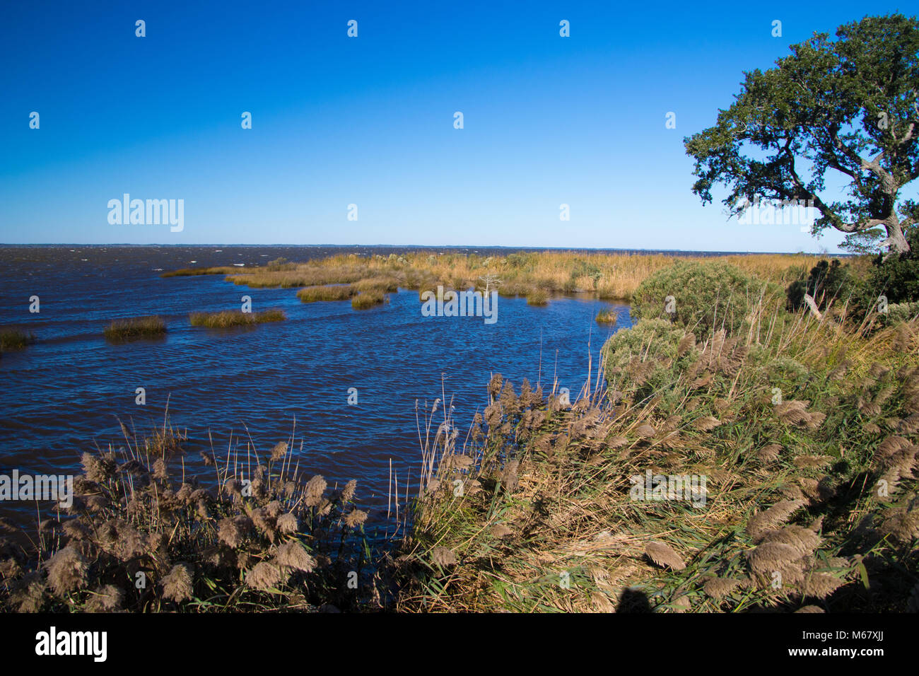 The Boardwalk area of the Outer Banks of North Carolina Stock Photo - Alamy