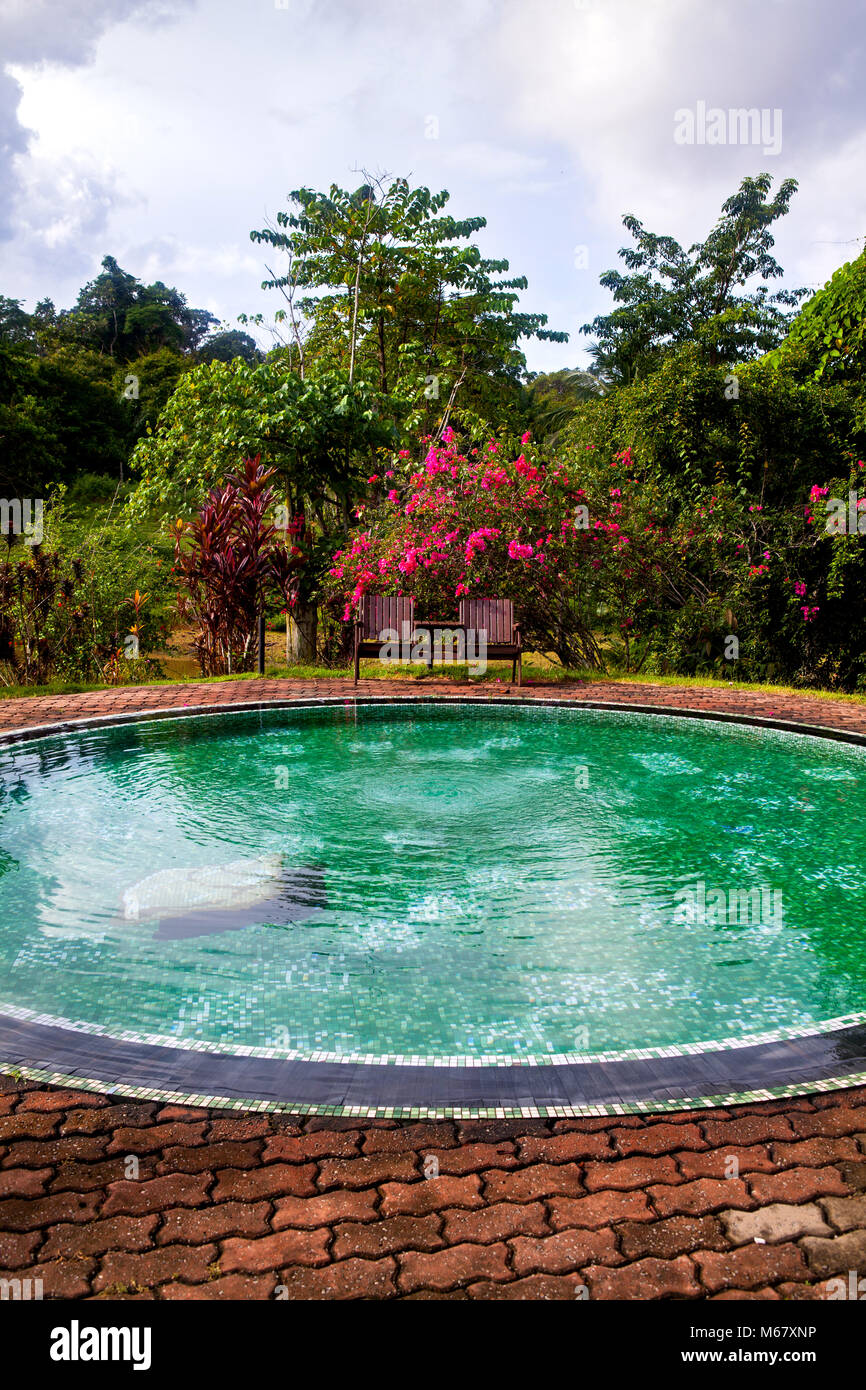 Small green swimming pool in a yard Stock Photo - Alamy