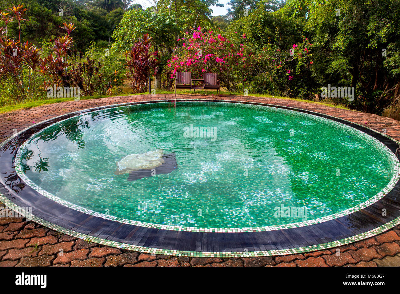 Small green swimming pool in a yard Stock Photo - Alamy
