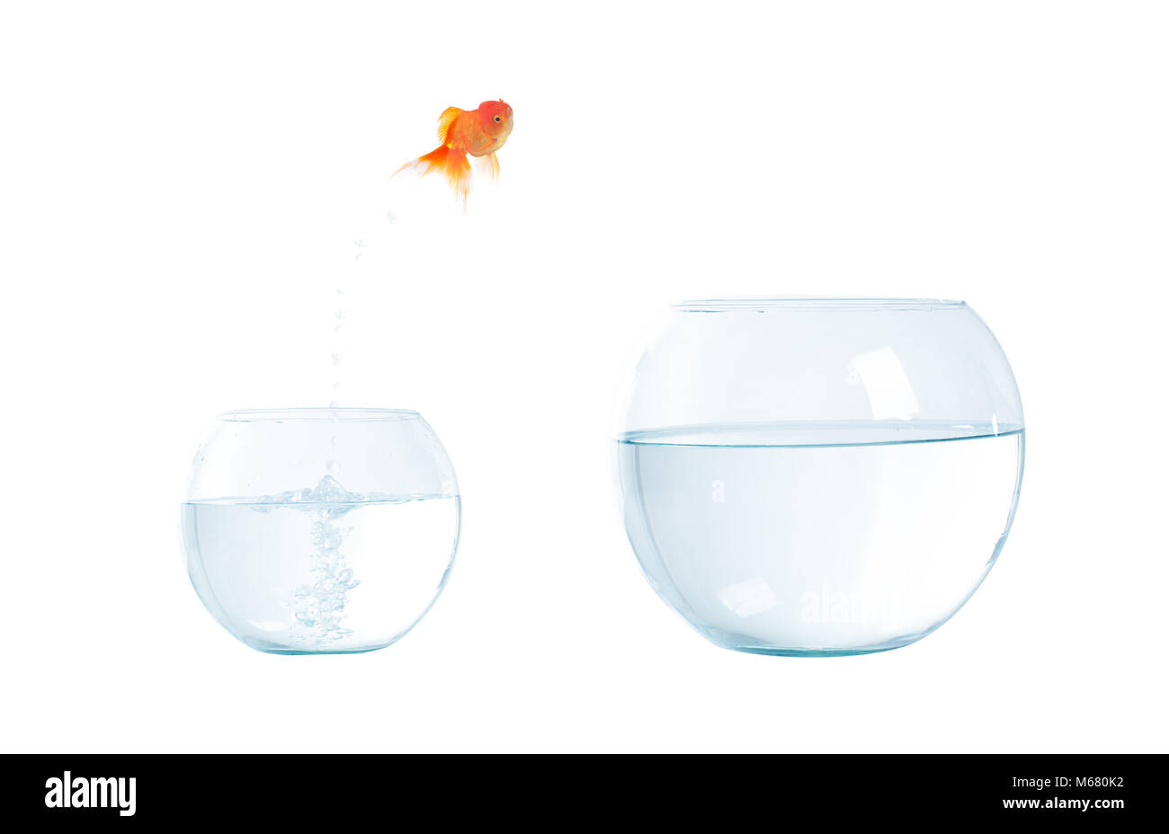Gold fish jumping out of fish bowl hi-res stock photography and images ...