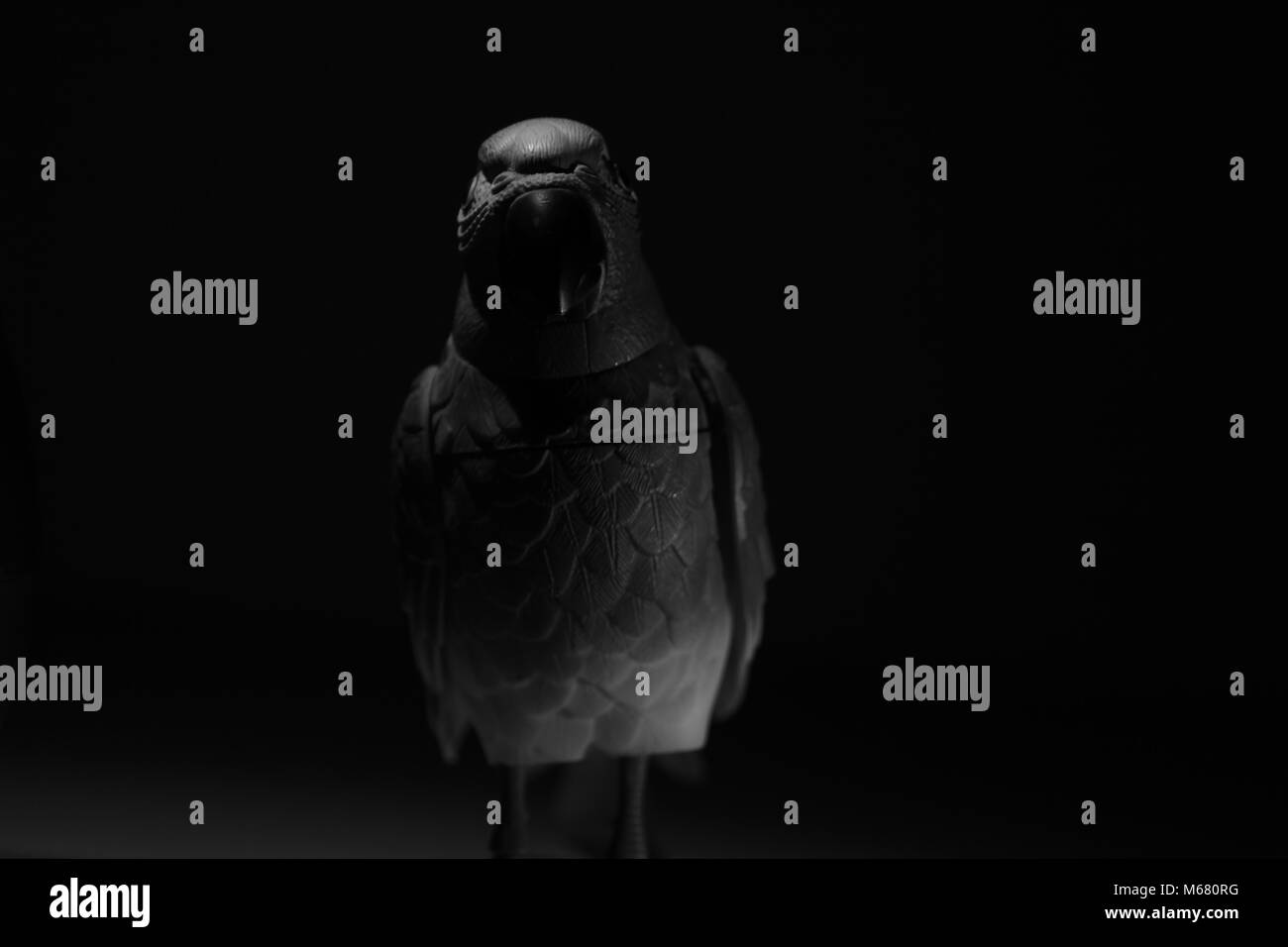 Parrot statue hi-res stock photography and images - Alamy